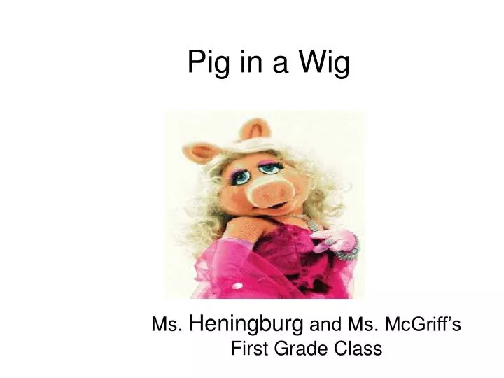 PPT - Pig in a Wig PowerPoint Presentation, free download - ID:3825759
