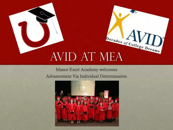 PPT - AVID at MEA PowerPoint Presentation, free download - ID:3826142