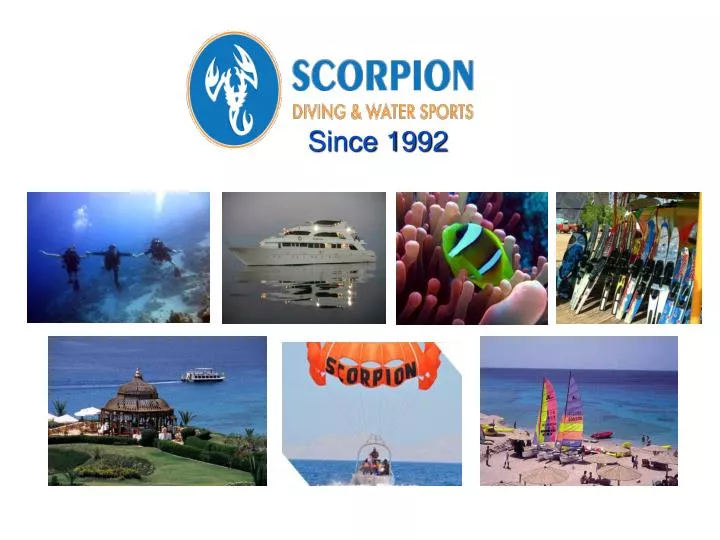 PPT - Since 1992 PowerPoint Presentation, free download - ID:3827230