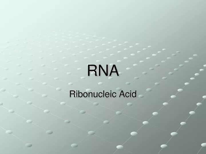PPT - RNA PowerPoint Presentation, free download - ID:3827900