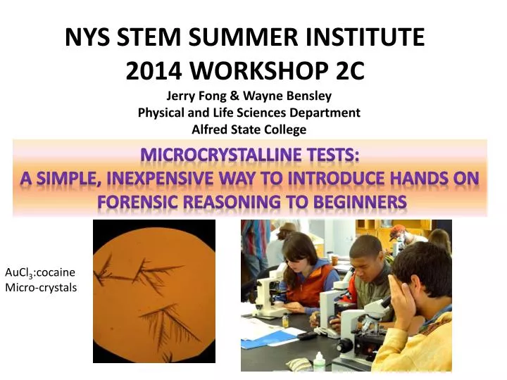 PPT - NYS STEM SUMMER INSTITUTE 2014 WORKSHOP 2C PowerPoint ...