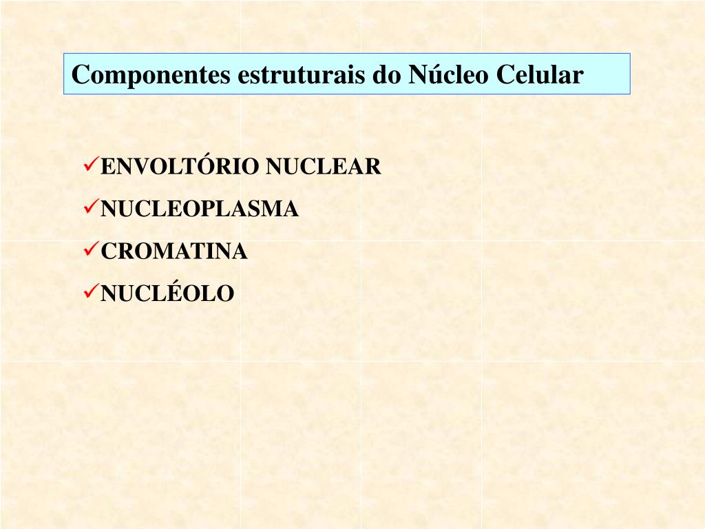 PPT - Aula 11 – Núcleo interfásico: membrana nuclear nucleoplasma ...