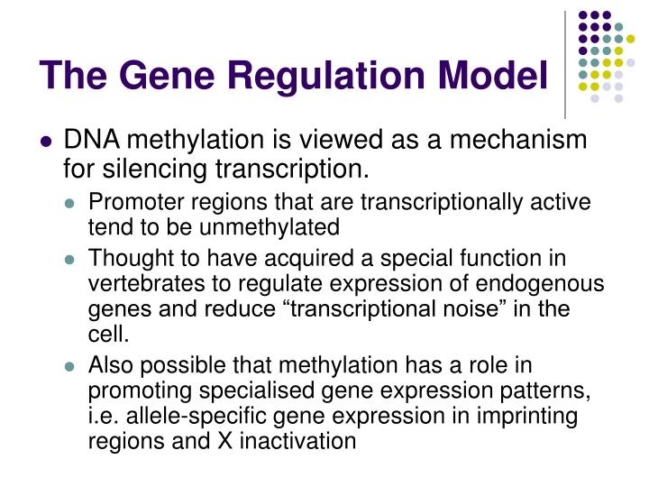 PPT - Epigenetics: what is it and why does it happen? PowerPoint ...