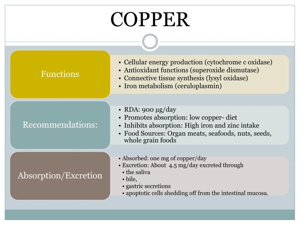 PPT - COPPER AND WILSON’S DISEASE PowerPoint Presentation, free ...