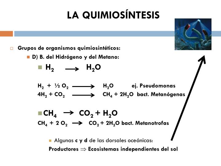 PPT - TEMA 8B. El metabolismo (Anabolismo) PowerPoint Presentation - ID ...