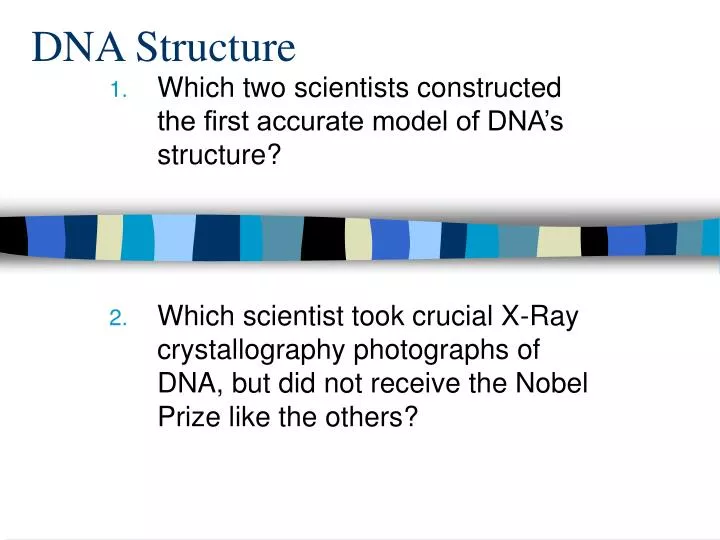 PPT - DNA Structure PowerPoint Presentation, free download - ID:3829766