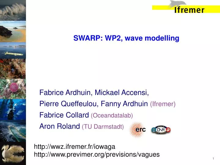 PPT - SWARP: WP2, wave modelling PowerPoint Presentation, free download ...