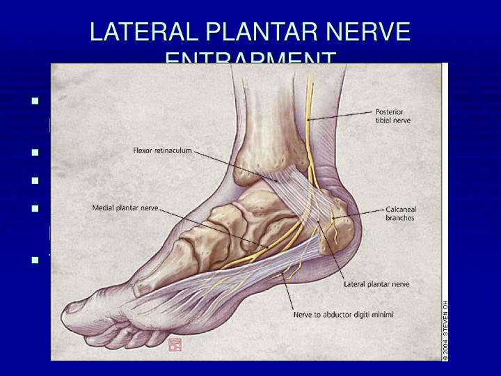 PPT - Foot and Ankle Complaints PowerPoint Presentation - ID:3830350