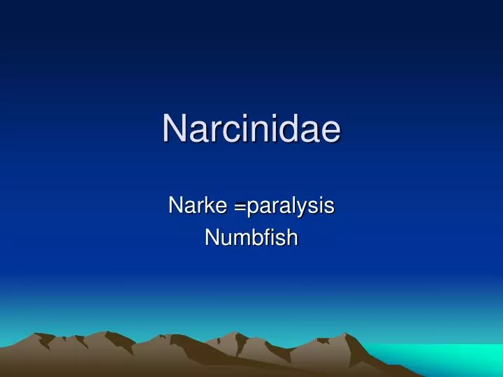 PPT - Narcinidae PowerPoint Presentation, free download - ID:3831215