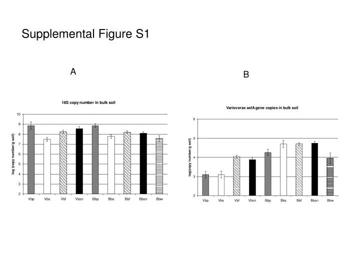 PPT - Supplemental Figure S1 PowerPoint Presentation, free download ...