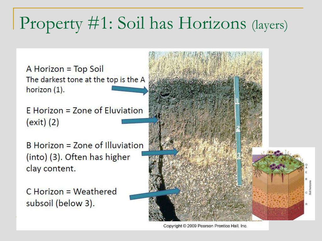 PPT - Soil Taxonomy- Properties of Soil PowerPoint Presentation, free ... PPT - Soil Taxonomy- Properties of Soil PowerPoint Presentation, free ...