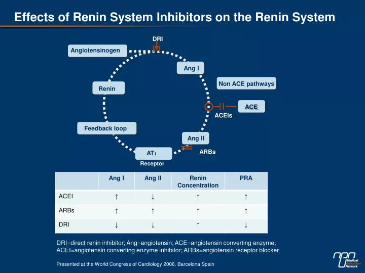 PPT - Effects of Renin System Inhibitors on the Renin System PowerPoint ...