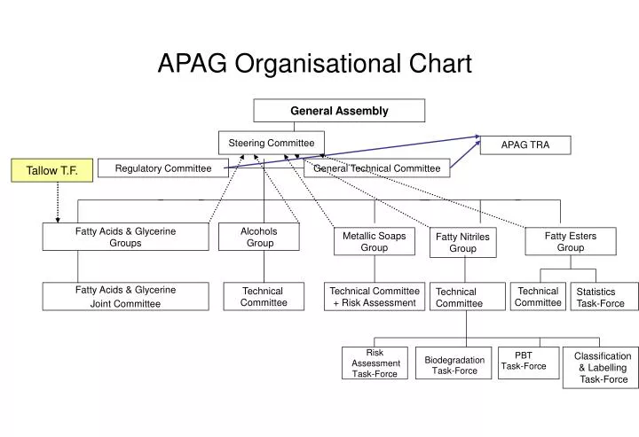 PPT - APAG Organisational Chart PowerPoint Presentation, free download ...