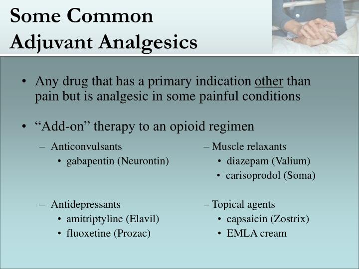 PPT - Palliative Care and End of Life Issues PowerPoint Presentation ...
