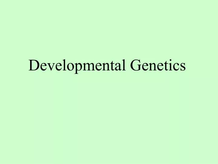 PPT - Developmental Genetics PowerPoint Presentation, free download ...
