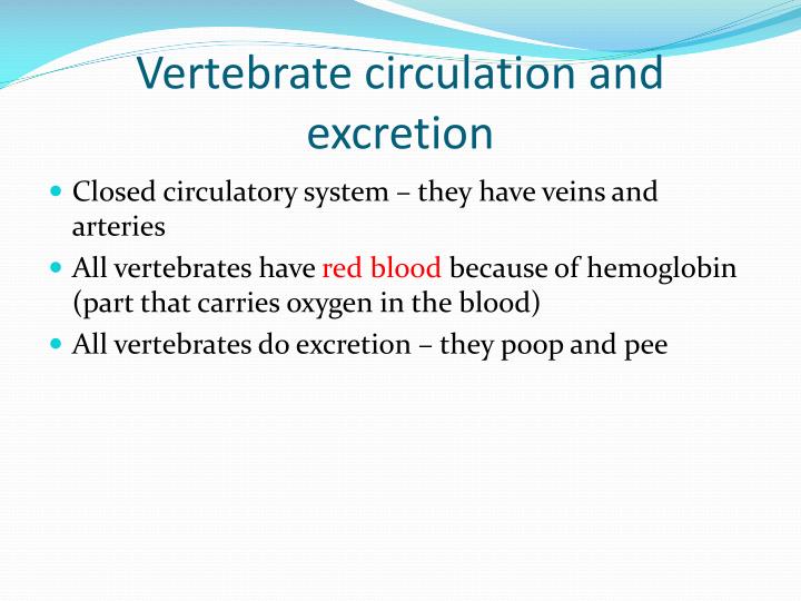 PPT - The Ectothermic Vertebrates: Chapter 17A and B PowerPoint ...