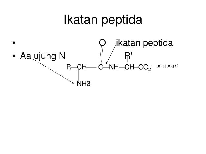 PPT - Asam Amino, Peptida dan Protein PowerPoint Presentation - ID:3840540