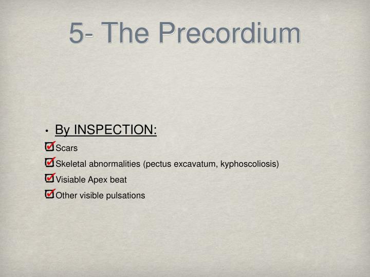 PPT - CVS Examination PowerPoint Presentation - ID:3840608