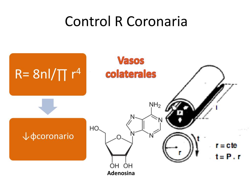 PPT - Por Melanie Cobos, Lucía Fernández y Germán Huerga . PowerPoint ...