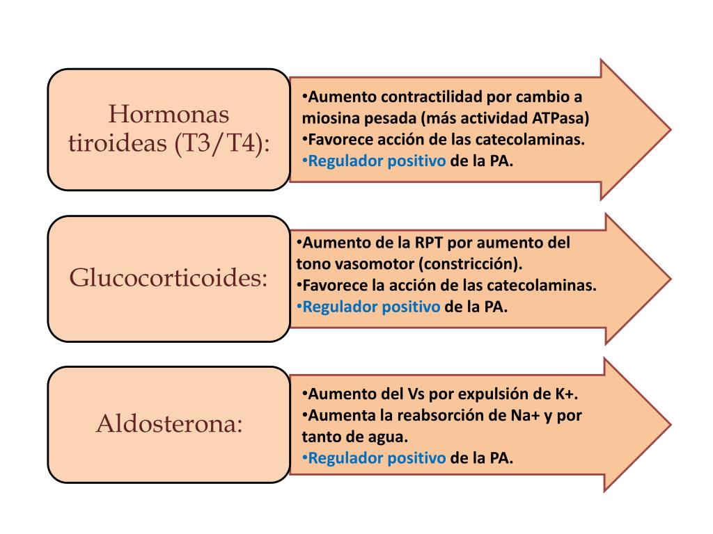 PPT - Por Melanie Cobos, Lucía Fernández y Germán Huerga . PowerPoint ...