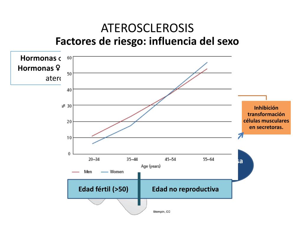 PPT - Por Melanie Cobos, Lucía Fernández y Germán Huerga . PowerPoint ...