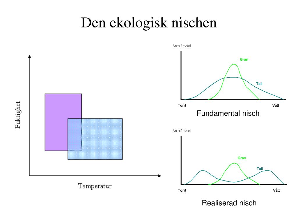 PPT - EKOLOGI En av världens äldsta vetenskaper? PowerPoint ...