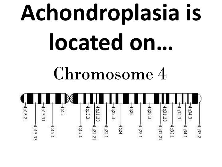 PPT - Achondroplasia PowerPoint Presentation - ID:3841118