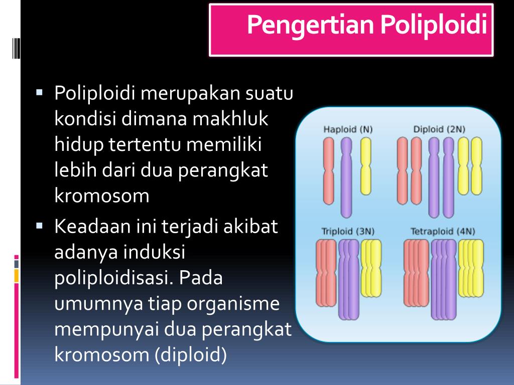PPT - KERAGAMAN GENETIK POLIPLOIDI & BIOTEKNOLOGI PowerPoint ...