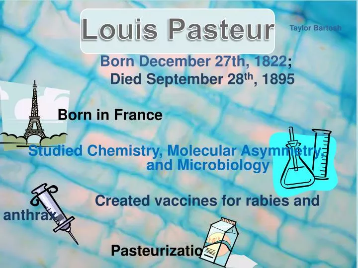 PPT - Louis Pasteur PowerPoint Presentation, free download - ID:3842225