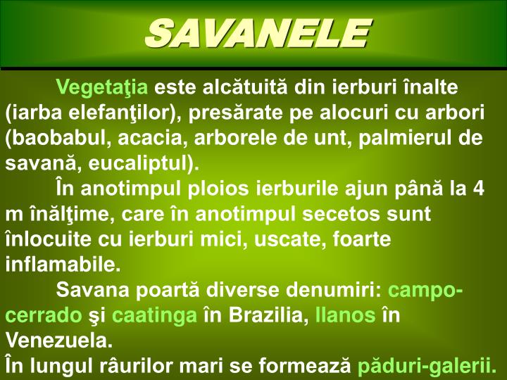 PPT - Mediul de savana PowerPoint Presentation - ID:3844761