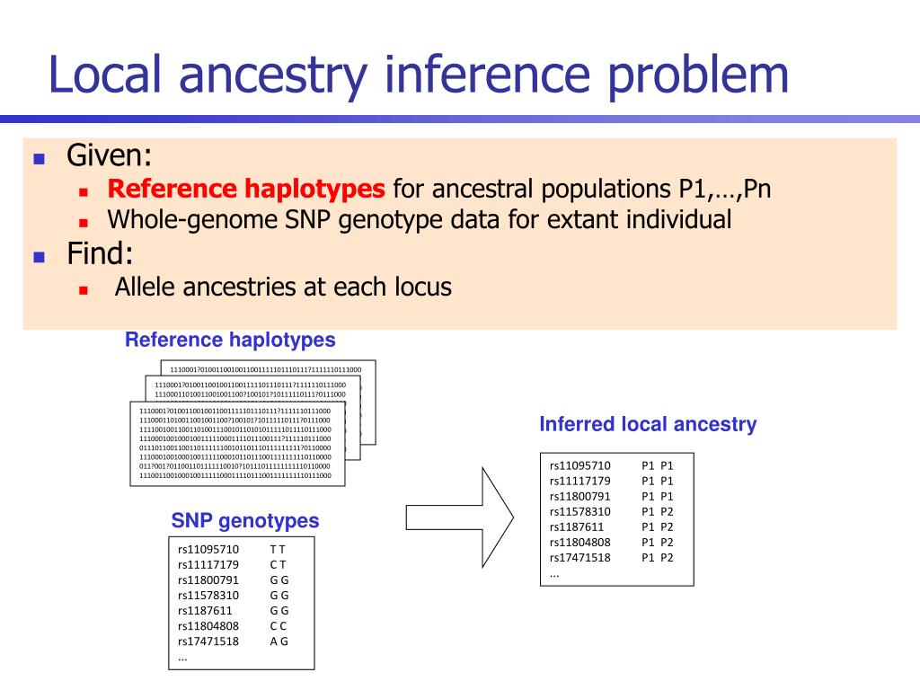 PPT - Imputation-based local ancestry inference in admixed populations ... PPT - Imputation-based local ancestry inference in admixed populations ...
