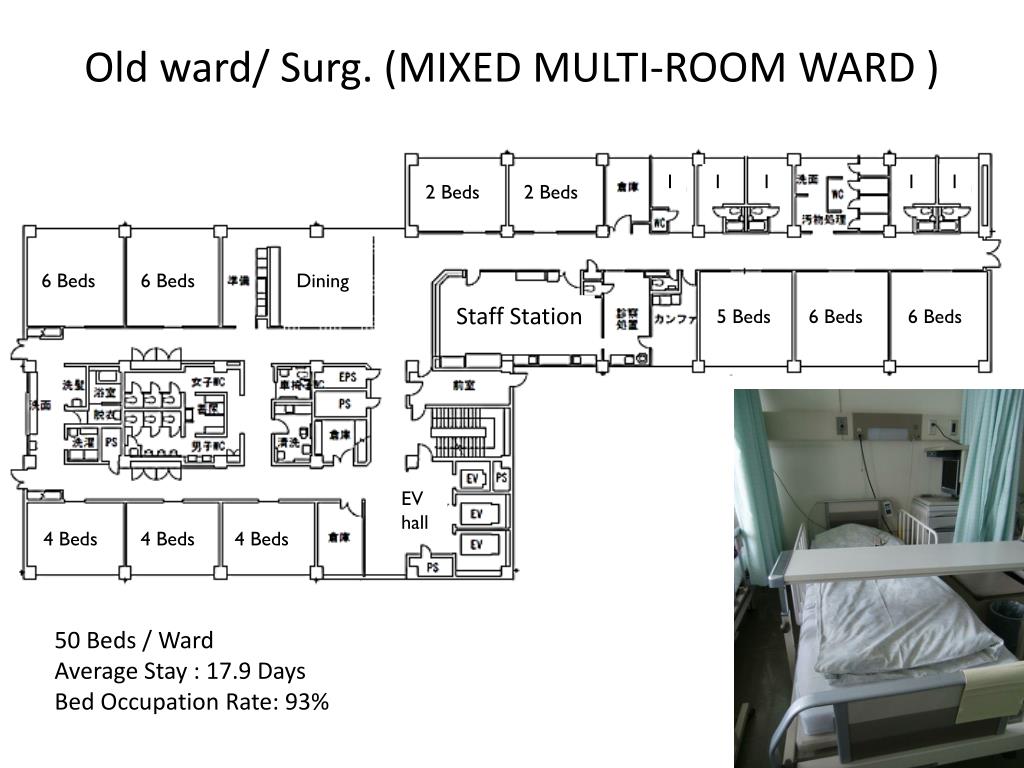 PPT - Ruka KOSUGE Ph.D., Research Associate, Architect PowerPoint ...