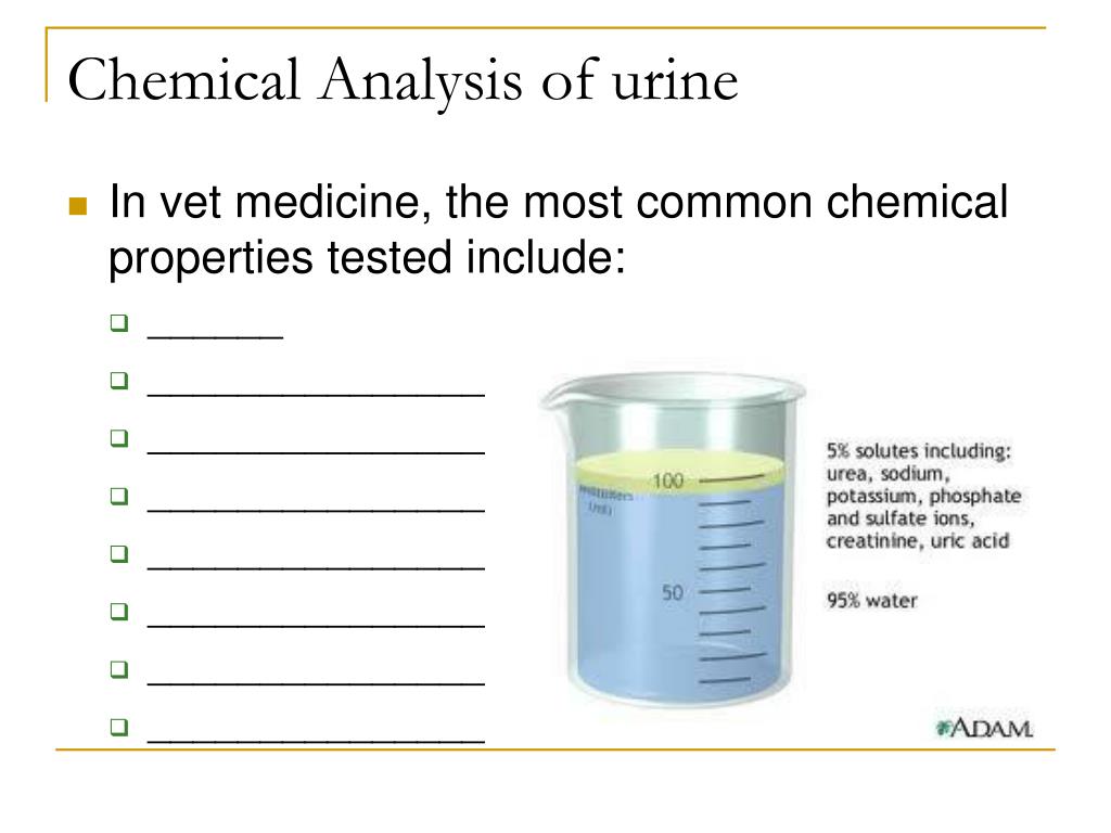 PPT - Introduction to Urinalysis PowerPoint Presentation, free download ... PPT - Introduction to Urinalysis PowerPoint Presentation, free download ...