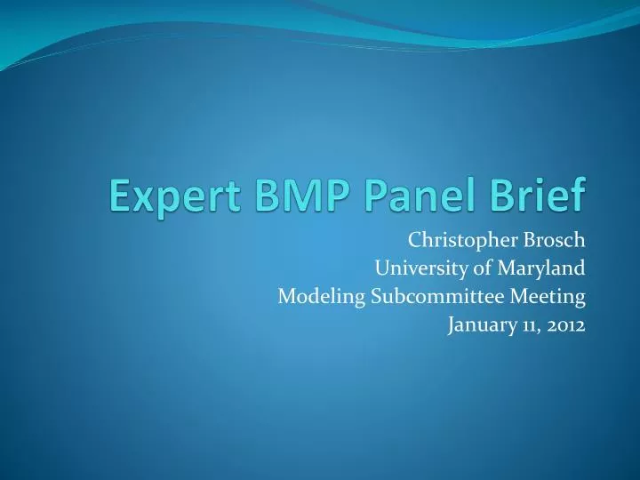 PPT - Expert BMP Panel Brief PowerPoint Presentation, free download ...