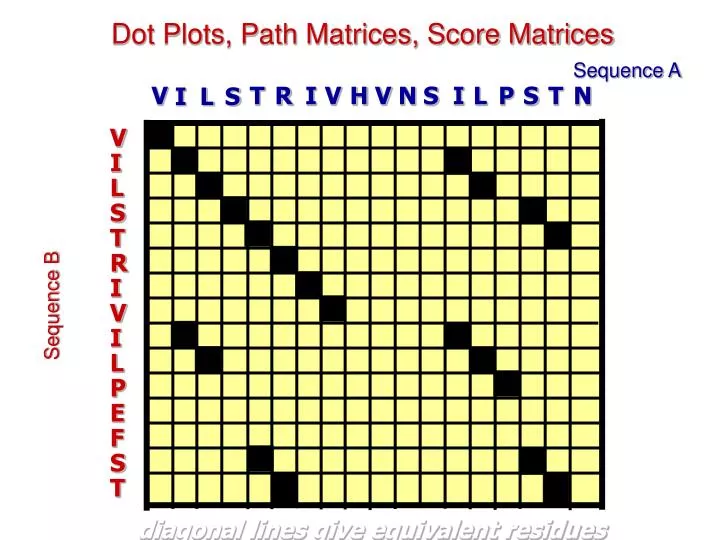 PPT - Dot Plots, Path Matrices, Score Matrices PowerPoint Presentation ...