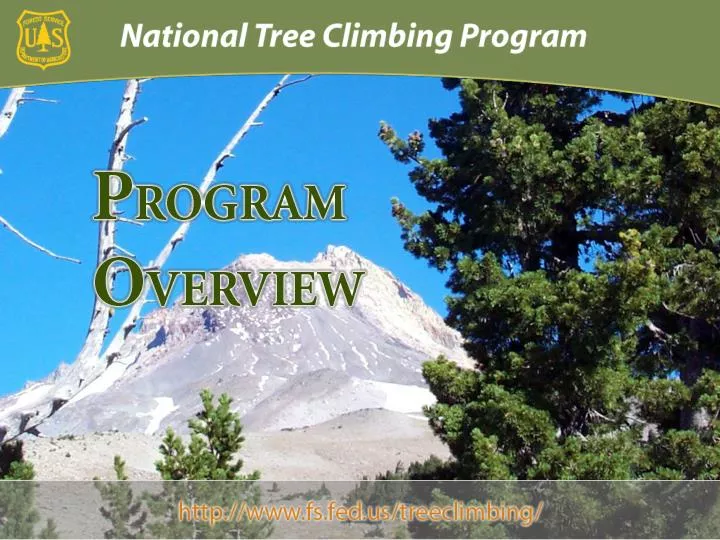 PPT - To ensure the safety of USFS tree climbers and the integrity of ...