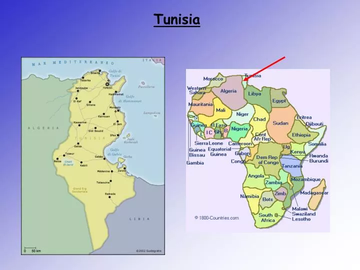 PPT - Tunisia PowerPoint Presentation, free download - ID:3854114