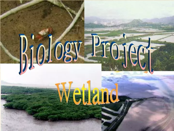 PPT - Biology Project PowerPoint Presentation, free download - ID:3854892