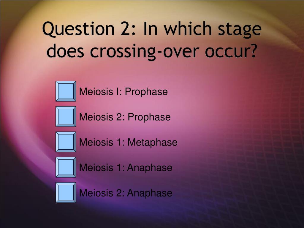 PPT - Mitosis and Meiosis PowerPoint Presentation, free download - ID ...