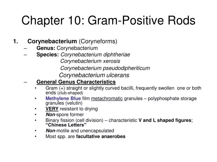 PPT - Chapter 10: Gram-Positive Rods PowerPoint Presentation, free ...