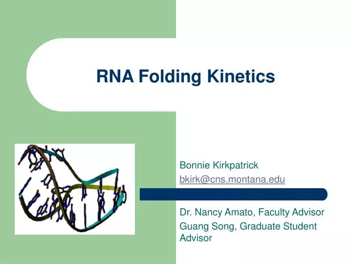 PPT - RNA Folding Kinetics PowerPoint Presentation, free download - ID ...