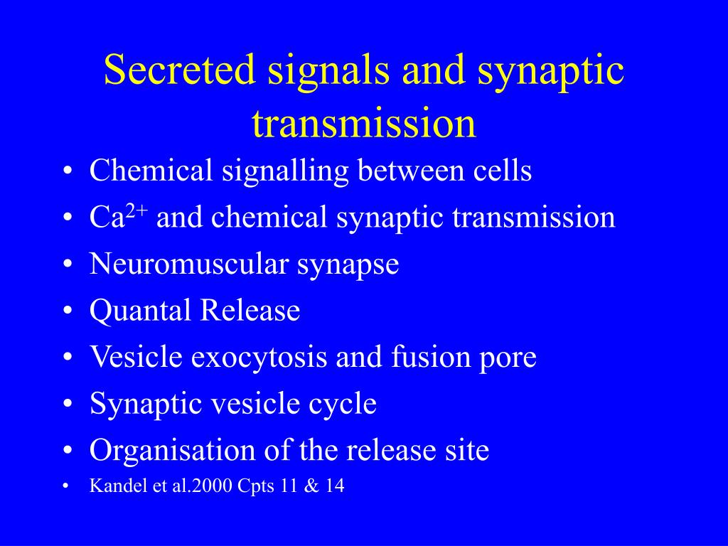 PPT - Human Cellular Physiology PHSI3004/3904 Secreted signals and ...