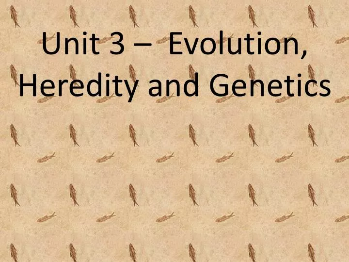 PPT - Unit 3 – Evolution, Heredity and Genetics PowerPoint Presentation ...