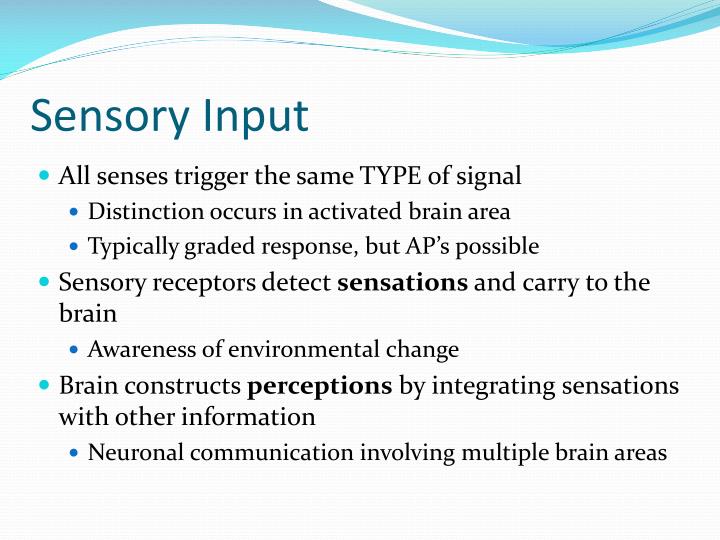 PPT - Peripheral Nervous System PowerPoint Presentation - ID:3861690