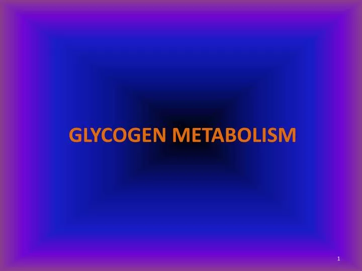 PPT - GLYCOGEN METABOLISM PowerPoint Presentation, free download - ID ...