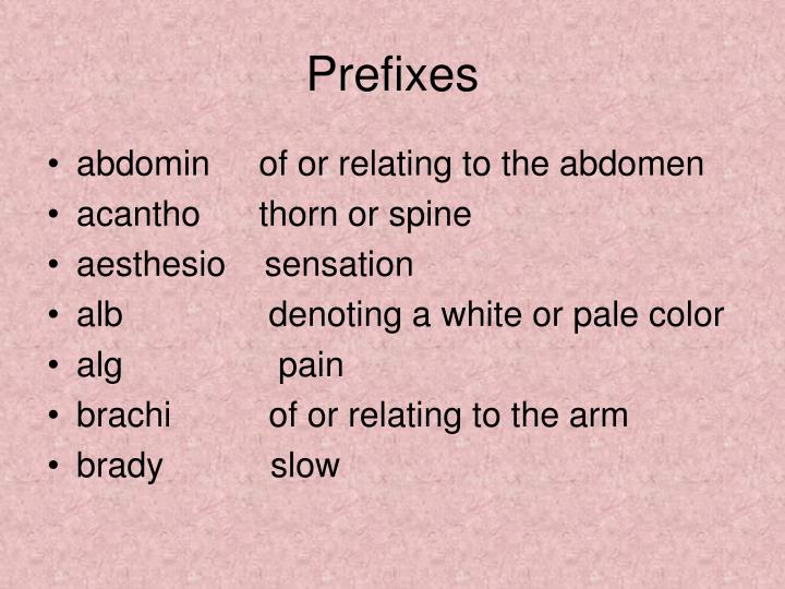 PPT - Prefixes/suffixes/general location Vocabulary PowerPoint ...