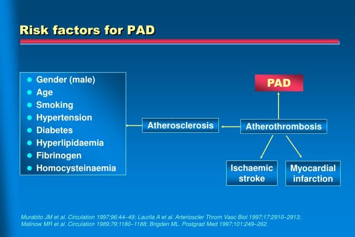Ppt Peripheral Arterial Disease Pad Powerpoint Presentation Id