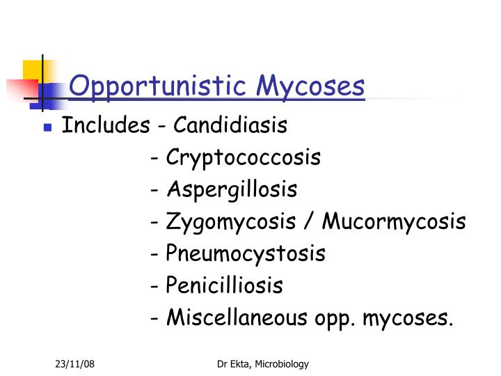 PPT - Opportunistic Mycoses & Miscellaneous Mycoses PowerPoint ...