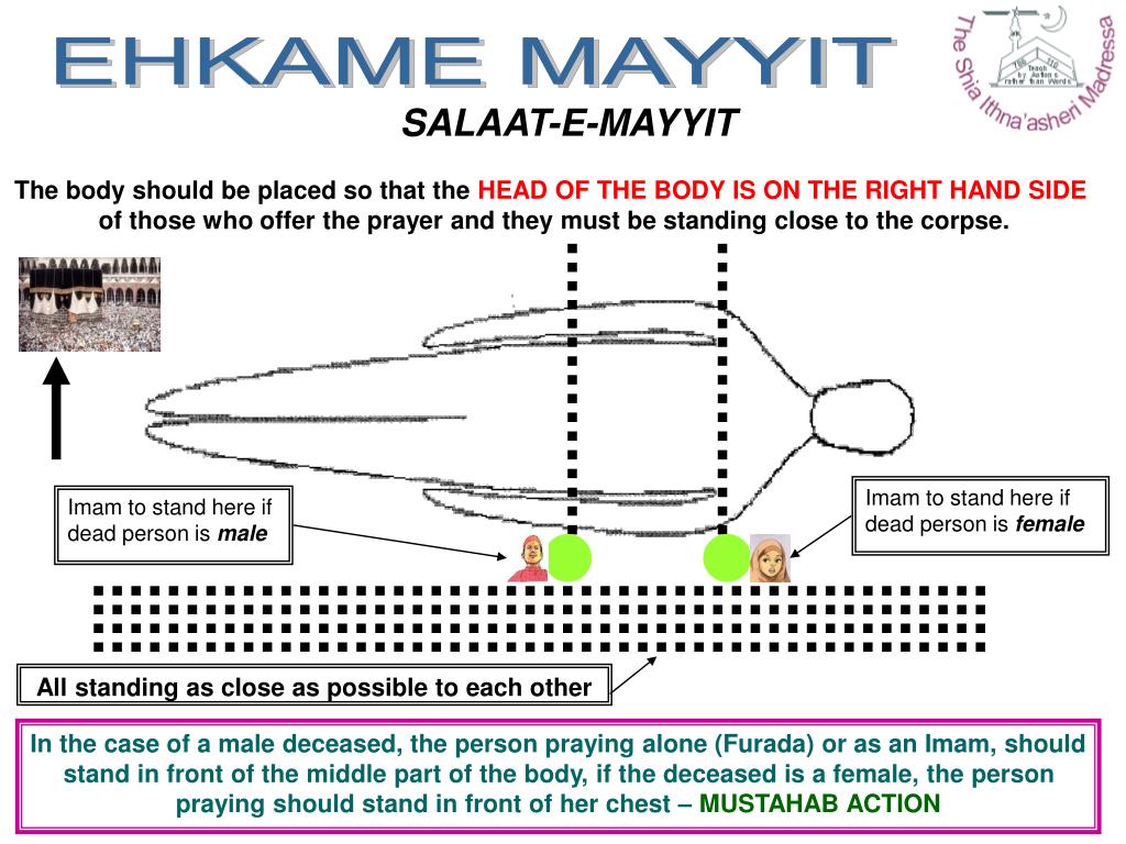 PPT - It is Wajib to pray Salaate Mayyit for a dead Muslim who is 6 ...