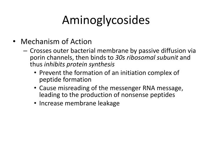 PPT - Aminoglycosides PowerPoint Presentation - ID:3864634